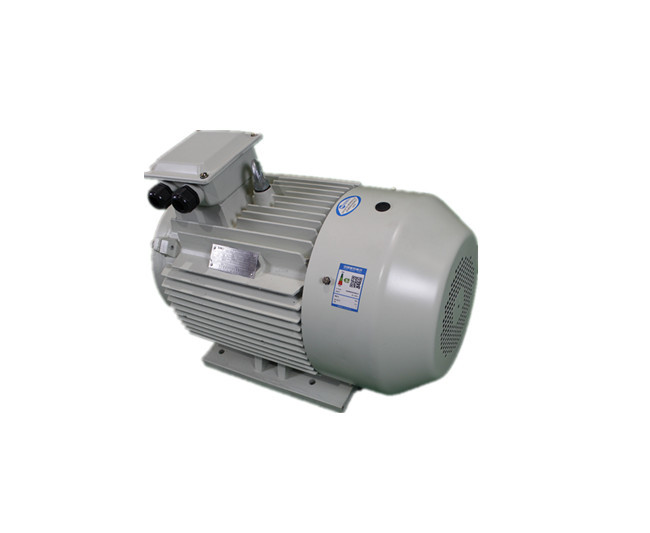 YE3-315M-2 Motor Asinkron Tiga Fase 132KW 380V IP55 Kelas F-IM B3